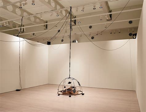 Yixuan Shao Columbia University School Of The Arts Visual Arts