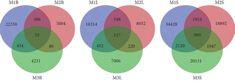 The number of public CDR3 sequences from CD4CD25 T cells TCR β CDR3 Download Scientific