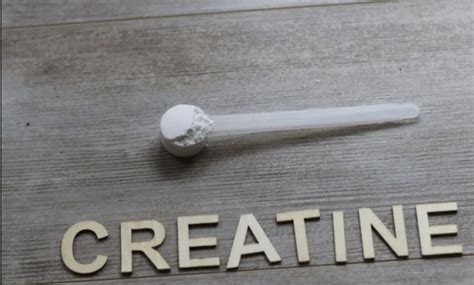 Learn All About Does Creatine Cause Diarrhea