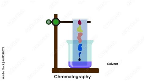 Vidéo Stock Chromatography Analytical Method For The Separation Of A Mixture Into Its Individual