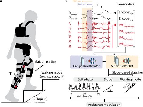 Ai Driven Universal Lower Limb Exoskeleton System For Community Ambulation Science Advances