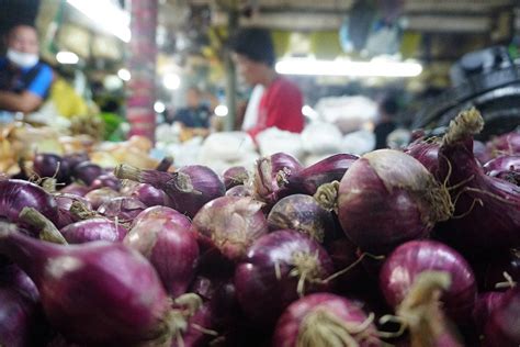 Onions Price Philippines Today at James Schofield blog