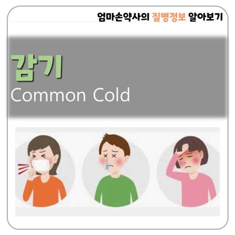 감기 기침 오한 두통 권태감 재채기 코막힘 콧물 인후통 근육통 관절통 네이버 블로그