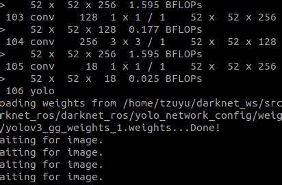 Waiting For Image In Rviz Using Darknet Ros Issue Intelrealsense Realsense Ros Github