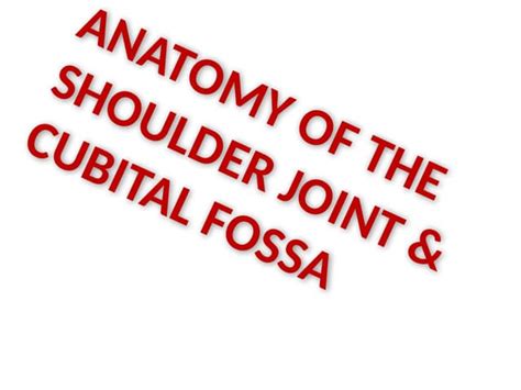 Anatomy Of Shoulder Joint And Cubital Fossa Ppt