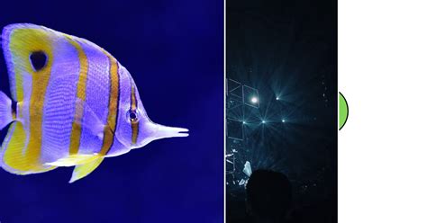 List Causal Inference Curated By Jeni Lu Medium