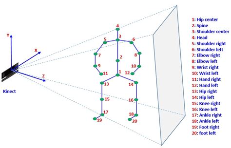 Skeleton Joints Captured By A Kinect Sensor Download Scientific Diagram