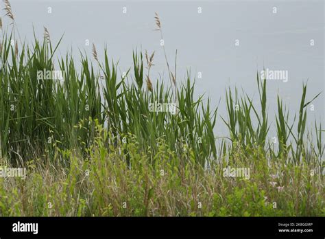 The North Shore Is Basically A Group Of Towns South Of NH Border And North Of Boston Mass It