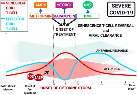 Immunometabolism Mediated Therapies Targeting T Cell Dysfunction In Download Scientific Diagram