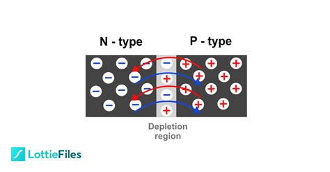 Semiconductor Explain Depletion Layer Explanation By Joana Barreira