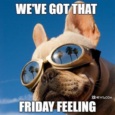 The Absolute Best Happy Friday Memes 35 And Counting Banter