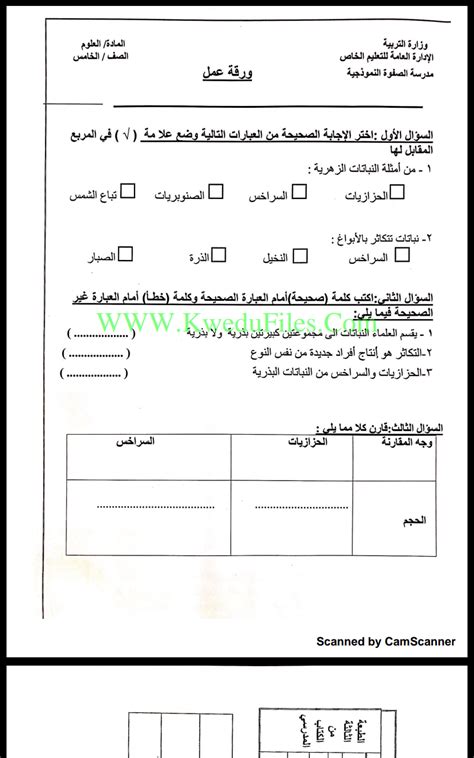 صورة تعبيرية من الملف