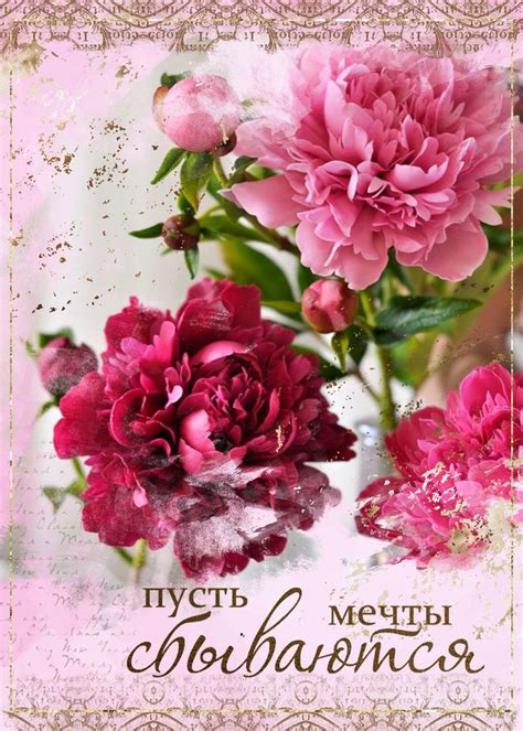 Пин на доске поздравлялки Цветы на рождение Праздничные открытки Семейные дни рождения