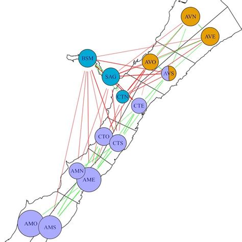 population spatial structure characterized by similarity and