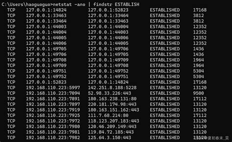 网络安全应急响应最全教程 2023年7月 护网应急响应流程 Csdn博客