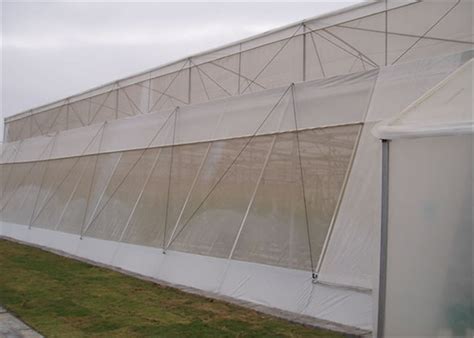 Anti Insect Anti Hail Mesh Netting Agriculture Crop Cover Netting Fruit Tree Cover