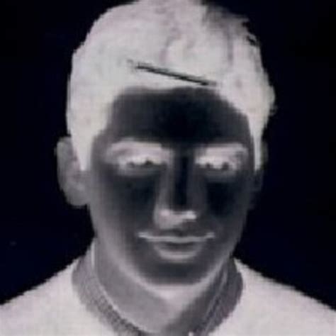 Dissipative Structure Theory Protocells Researchgate