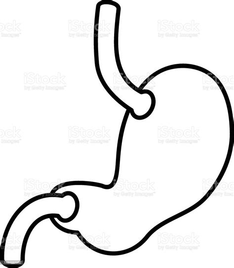 인간의 위장 개념 음식 소화 시스템 벡터 개요 아이콘 디자인 장기 시스템 기호 인체 해부학 기호 인체 부위 스톡 일러스트레이션 건강관리와 의술에 대한 스톡 벡터 아트 및