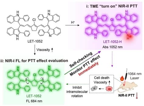 A Self Checking Phviscosity Activatable Nir Ii Molecule For Real