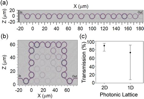 a fdtd simulation of a disordered 1d photonic array of resonators