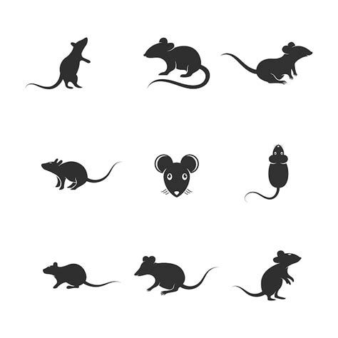 Premium Vector Rat Cute Vector Icon Design Illustration Template