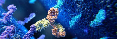 Detecting Adc Internalization From Complexity To Clarity With Phsense