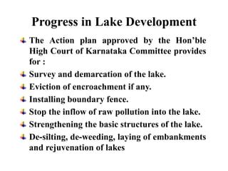 Lake Development Authority CEO PPSX