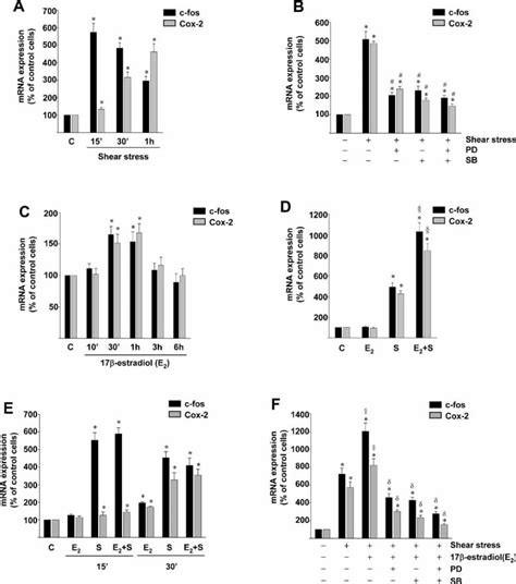 Estrogen Augments Shear Stressinduced C Fos And Cox 2 Expressions In