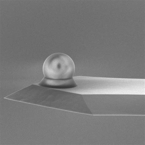 Sqube Cp Fm Sio Colloidal Afm Probes