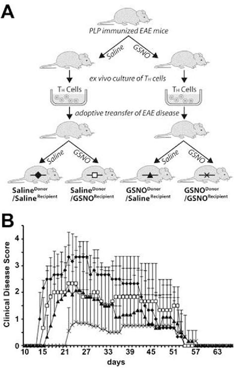 Figure 4 From Regulation Of Il 10 And Il 17 Mediated Experimental