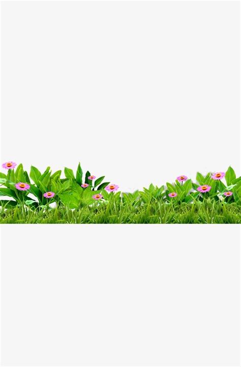 잔디 꽃 일러스트밭 을 그린 일러스트 꽃 클립 아트 잔디 꽃들 Png 일러스트 및 Psd 이미지 무료 다운로드 Artofit