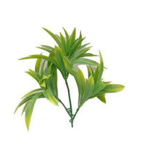 Dracaena Yucca Stem Uv Resistant Trading Tree