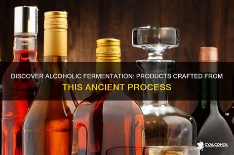 Discover Alcoholic Fermentation Products Crafted From This Ancient