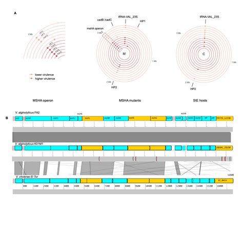 Wendling Max Von Pettenkofer Institut