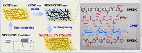 电纺磺化聚（醚醚酮）和壳聚糖 聚（乙烯醇）双功能纳米纤维在零下温度下加速质子传导 Acs Applied Materials And Interfaces X Mol