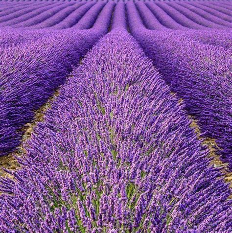 مطبخ ملكmalak Kitchen