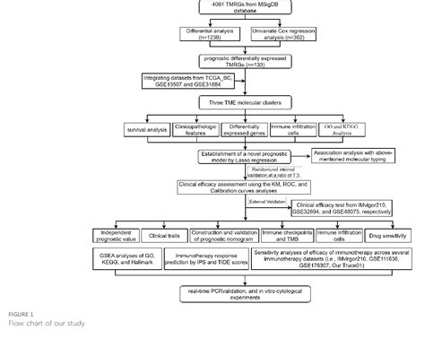 Figure 1 From Identification And Validation Of A Dysregulated Tme