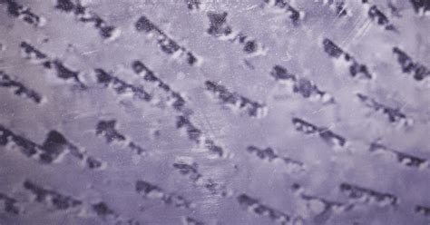 What Is Hacking In Civil Construction Purpose And Technical