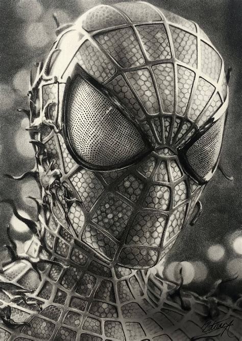 Black Spiderman Pencil Drawings