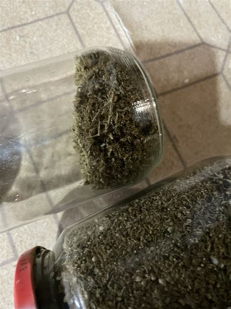 Казанлък инфо Старозагорски криминалисти иззеха 390 грама марихуана от адрес в с Могила