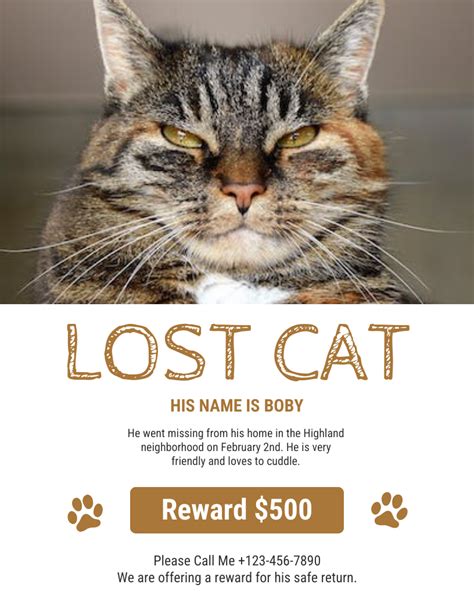 Lost Cat Flyer Template Free Printable