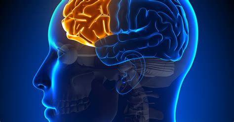 Understanding Higher Order Theories Of Consciousness Psychology Today