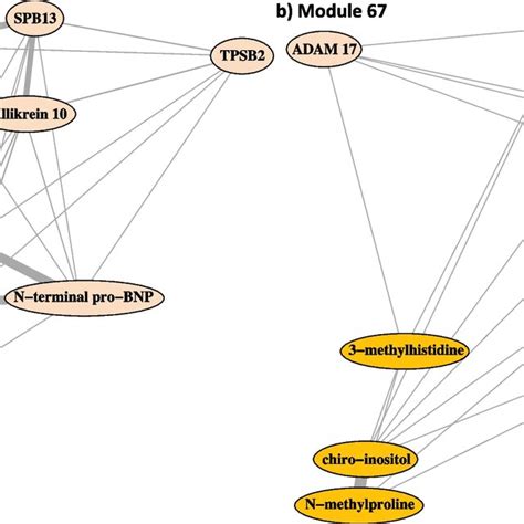 Local Network Structure Of Modules Integrating Metabolomic And