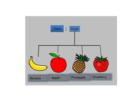 Introduction To Oop And Java Fundamentals Pptx