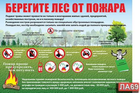 Аншлаги и знаки в лес