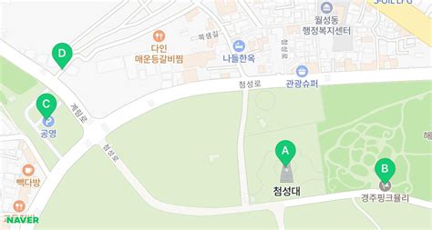 10월에 가볼만한곳 경주 여행지 핑크뮬리 명소 첨성대 주차 비단벌레차 예약 정보 有 네이버 블로그
