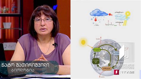 ბიოლოგია Ix კლასი ნივთიერებათა წრებრუნვა ბიოსფეროში ტელესკოლა Youtube