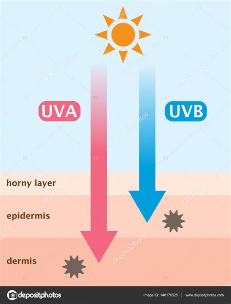 What Is The Difference Between UVA UVB And UVC OFF