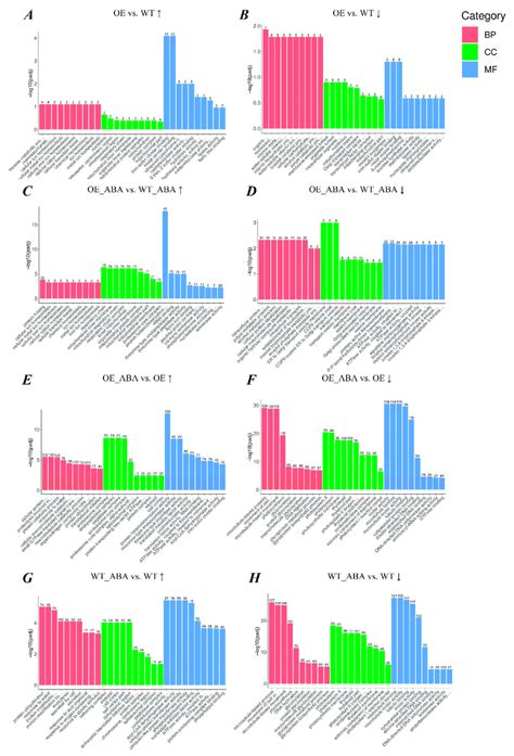 Go Enrichment Histogram Of Degs The Top 10 Significantly Enriched Go