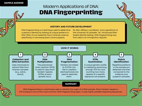 modern applications of dna dna fingerprinting anonymous udocz